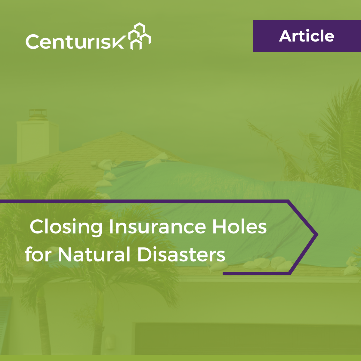 Closing the Protection Gap: Natural Disasters & Insurance Holes