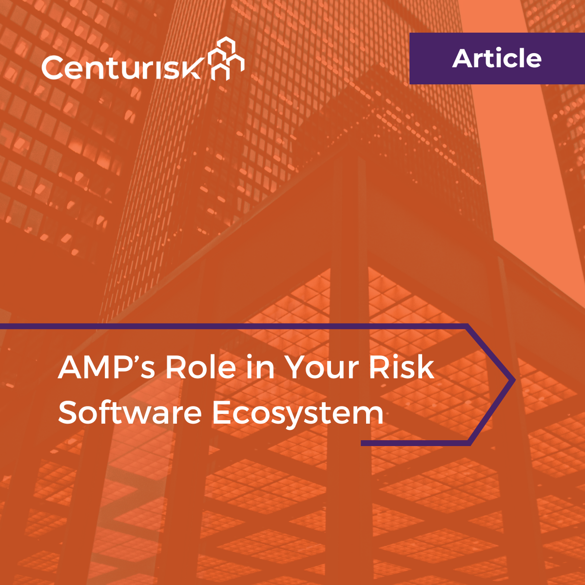 AMP's Role in Your Risk Software Ecosystem
