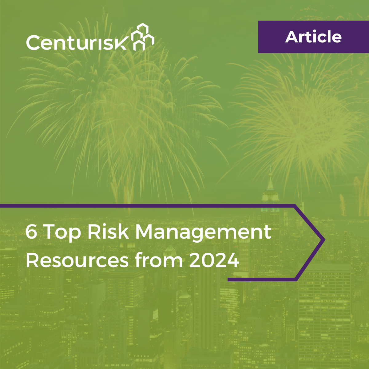 Risk Management Resources: Six Picks from 2024